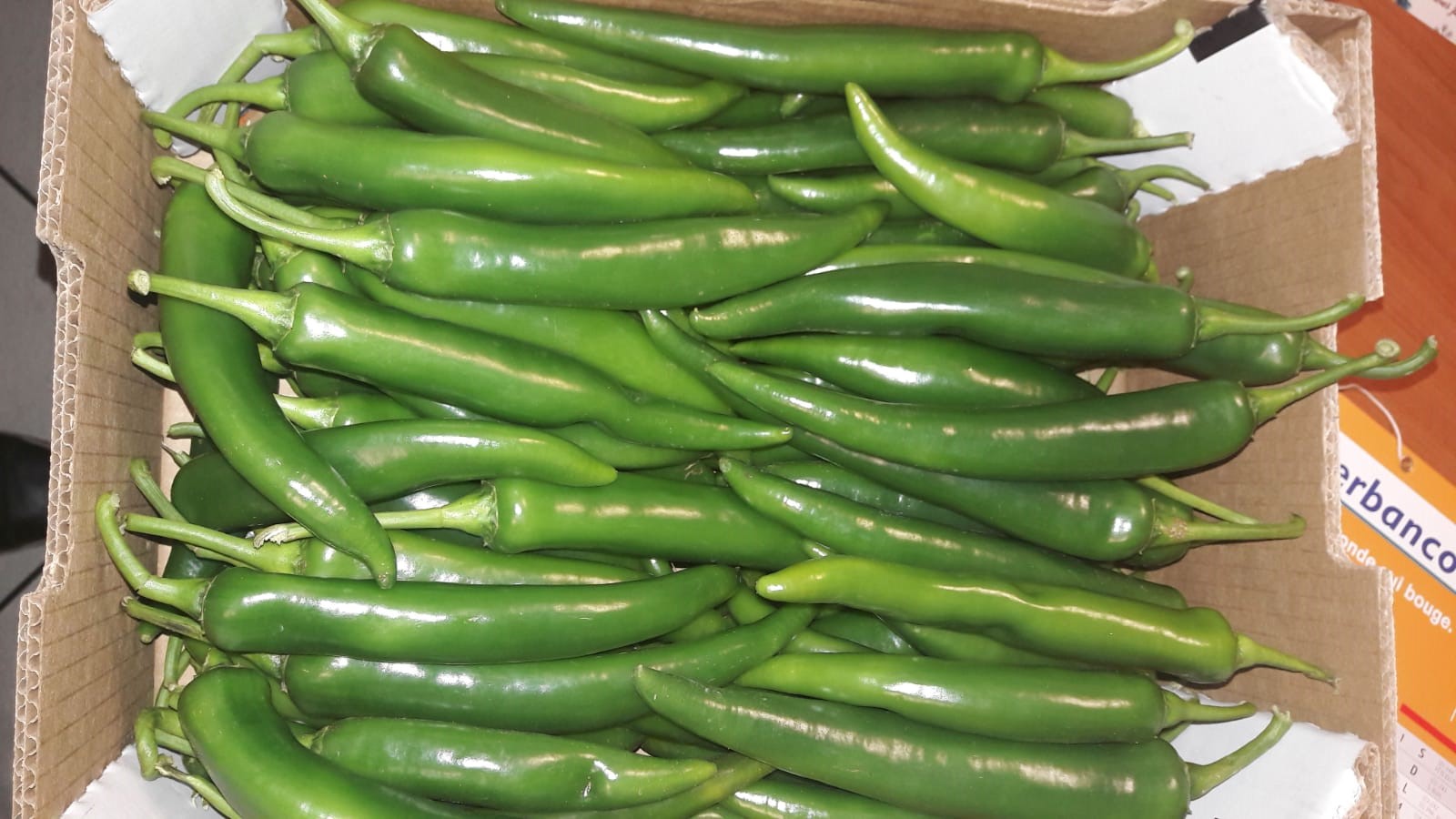 PIMENT SAHIM VERT 4KG – Hiba Fresh